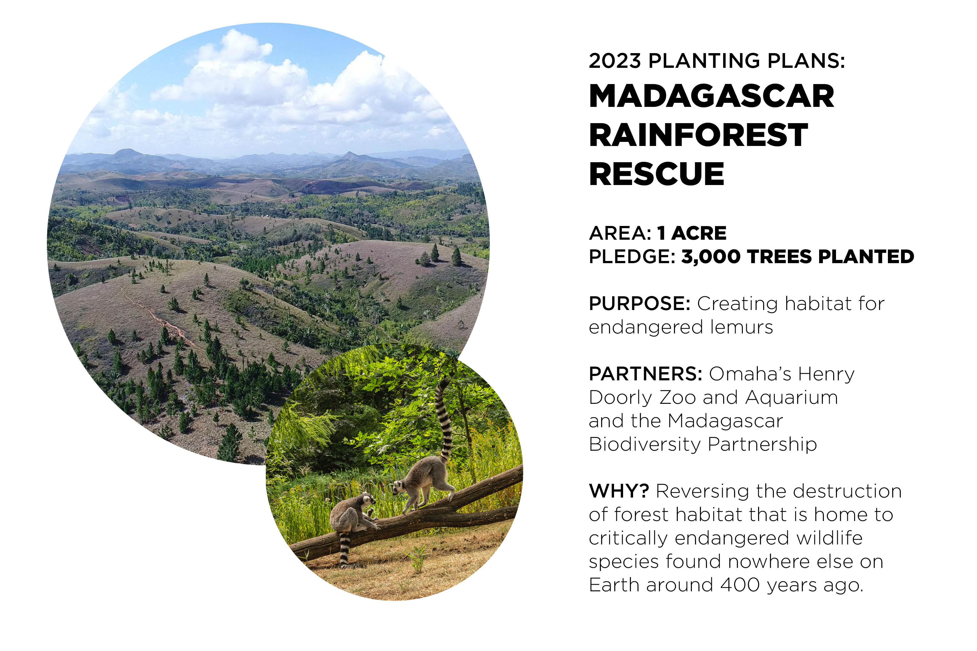 PJ Plants 2023 | Phillip Jeffries